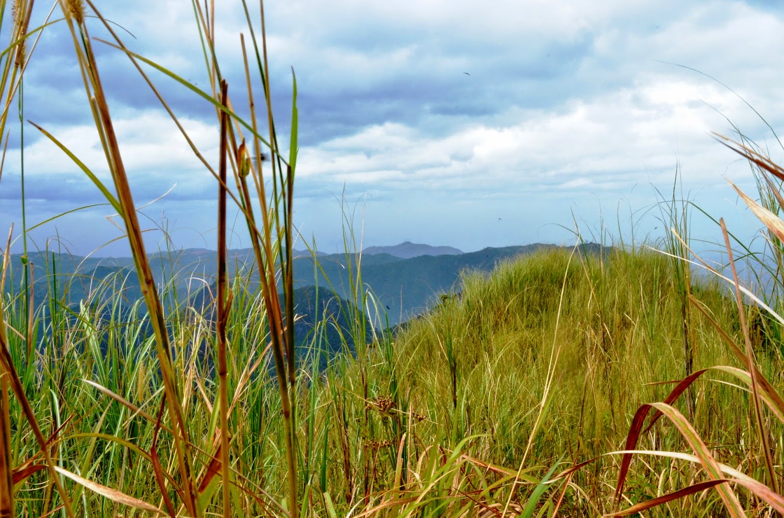 Climbing at Mount Ayaas