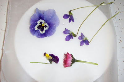 Survival and Preparedness on a Budget: How to Crystallize Flowers