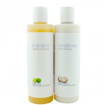 Lady Soma: For the Healthy, Active and Balanced Woman