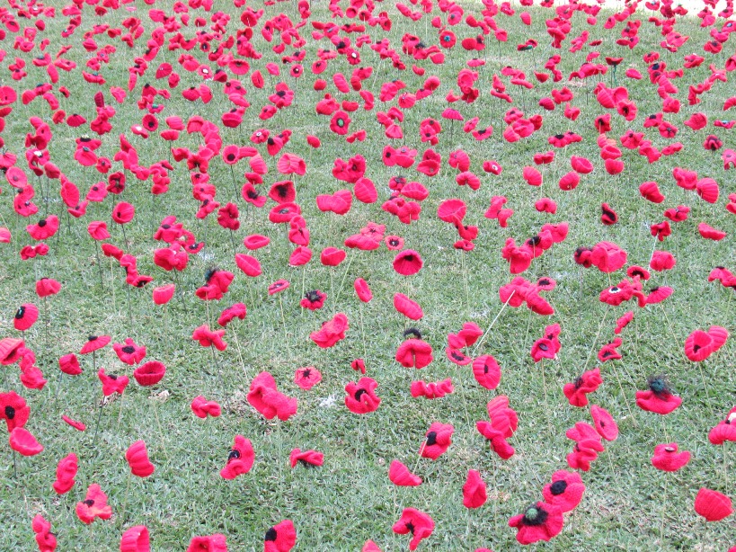 Exploring Military History: Poppies in Perth