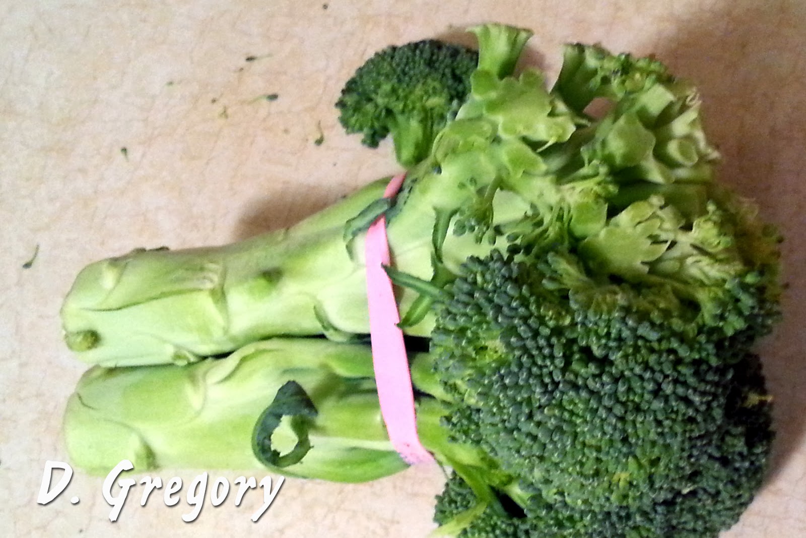 the Well: Day 4 - Do What You Can With What You Have