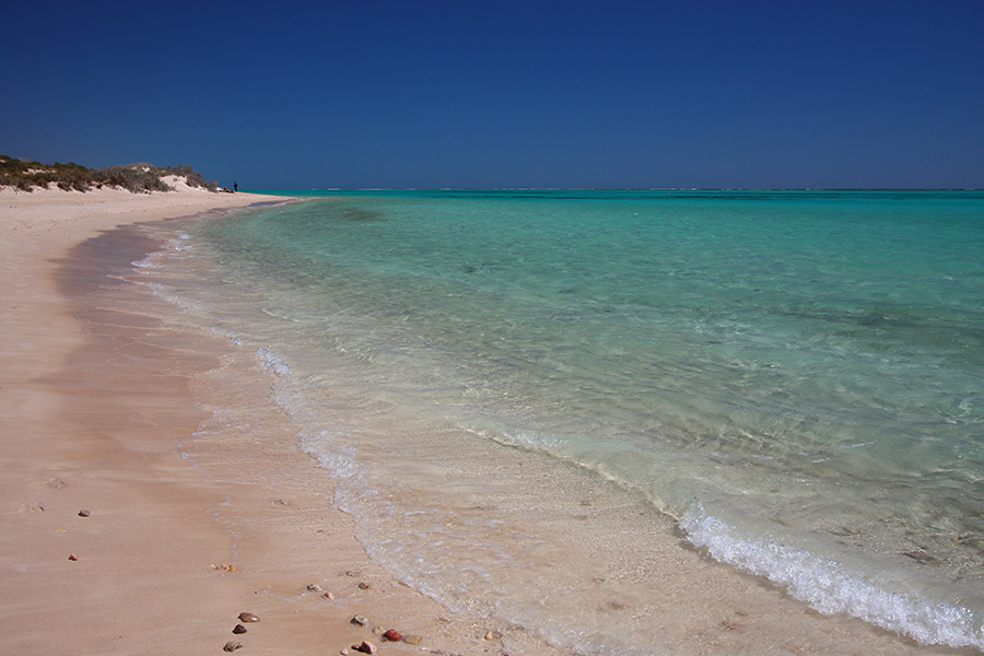 Nathan & Alison's Caravan Extravaganza: Exmouth & Cape Range National Park