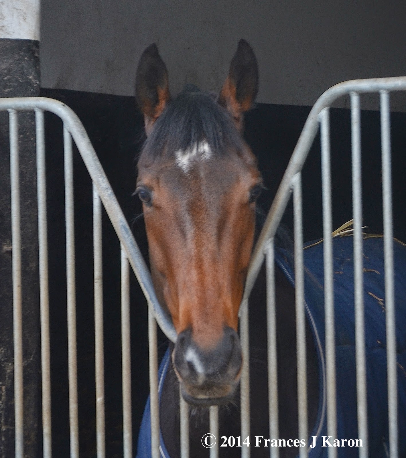 Running Rough Shod: Criquette Head-Maarek profile in the new issue of ...