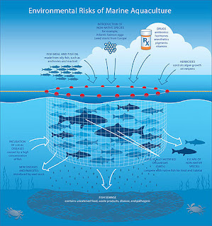 Mariculture is a Specialized Branch of Aquaculture | Renhil ...