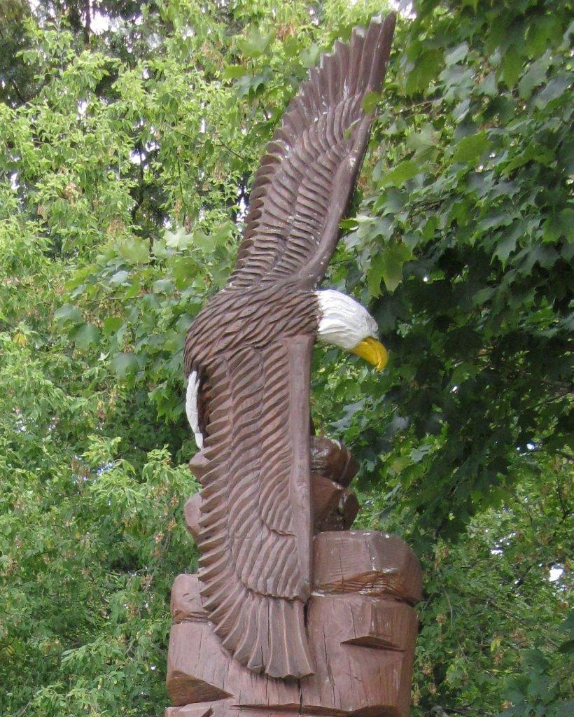 Kevin's Photo Contest