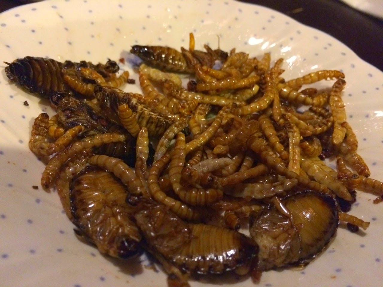 Marblemount Homestead: We ate cockroaches, mealworms, and crickets for ...