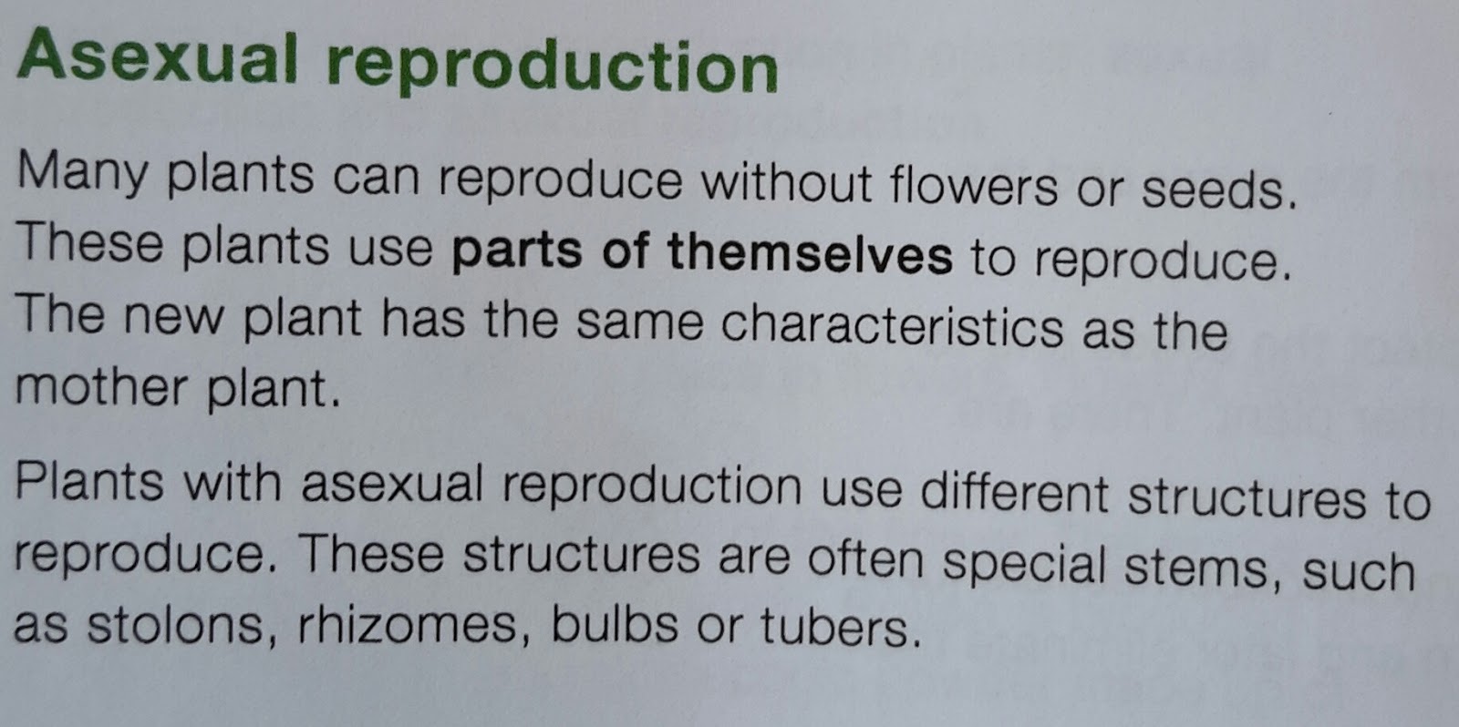 CeipToursScience4: Unit 10. Plants. Natural Science