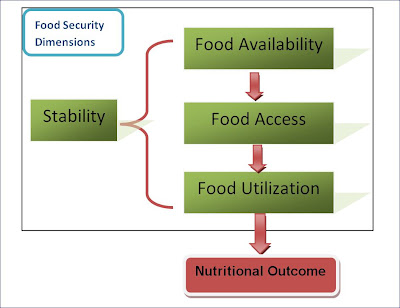 Basic Concepts of Food Security: Definition, Dimensions and Integrated ...