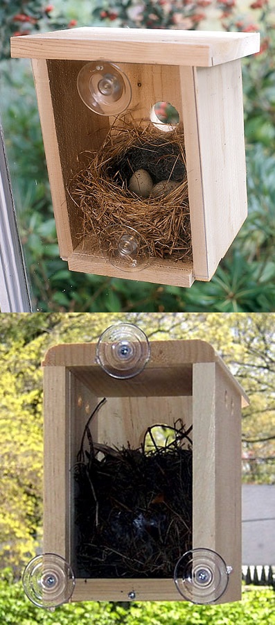 Window bird house - garden favorite