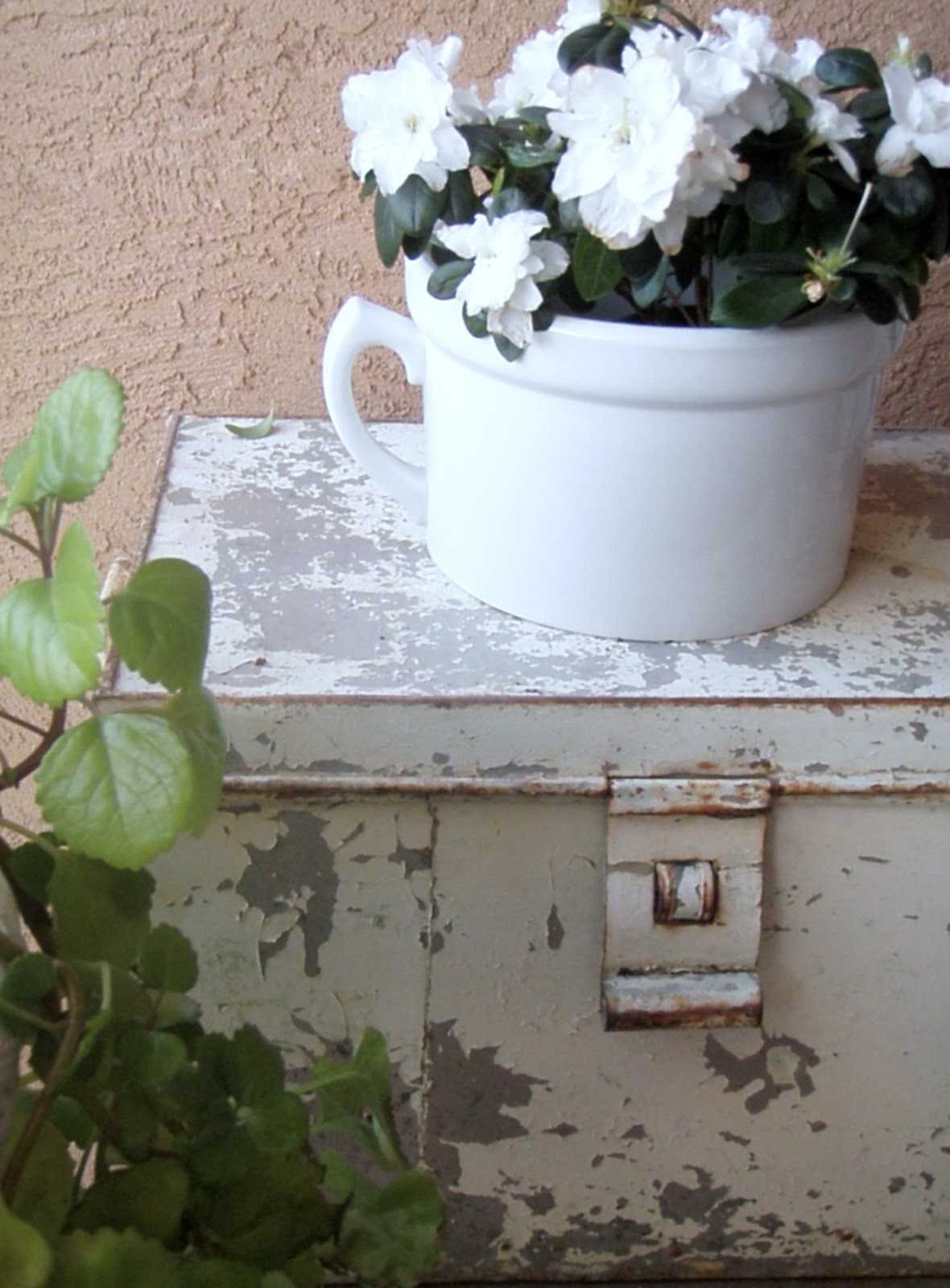 Cabin & Cottage : Patio Dressing