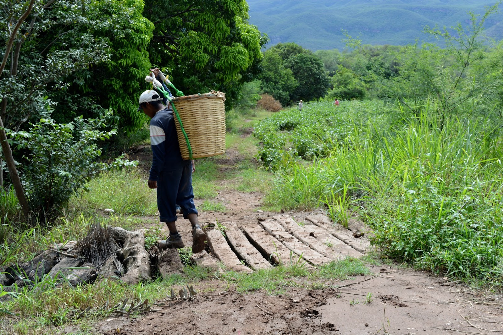 Viajes, Amor, Naturaleza y Vida : Vaije a Cuicatlán, Oaxaca, México