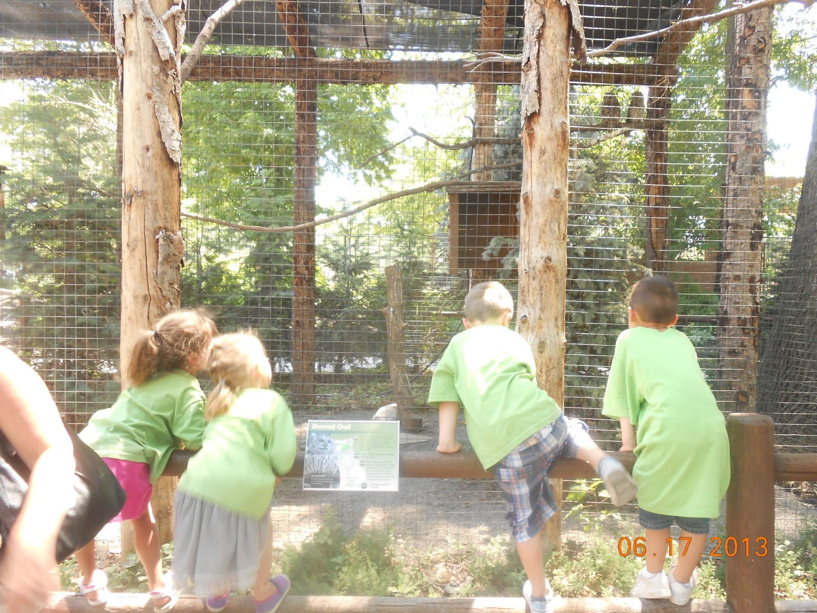 CHILDREN’S CAMPUS: The Tracy Bird Aviary
