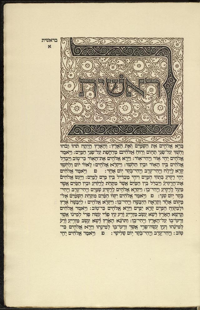 THE WHISTLING GIRL: From So Simple A Beginning...Endless Forms Most ...