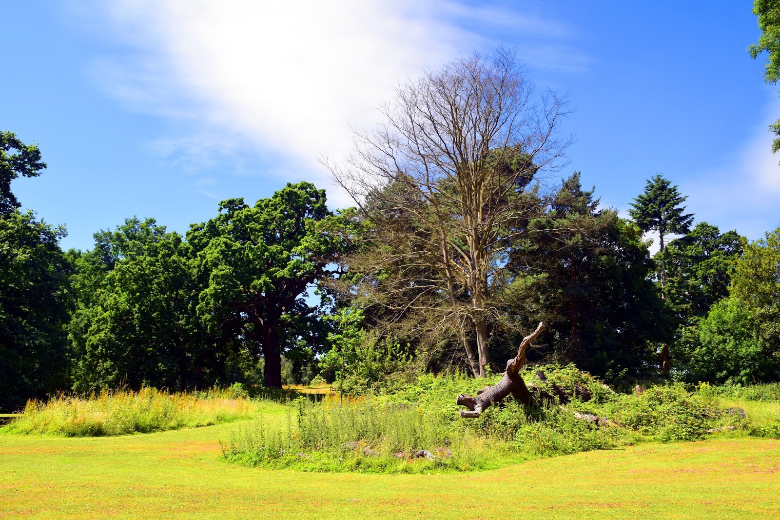 Enjoy your time with beautiful places: Homewood Park in Chertsey