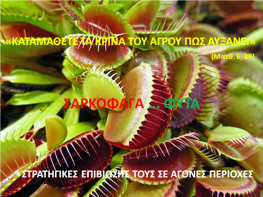 Αναστάσιος: "ΚΑΤΑΜΑΘΕΤΕ ΤΑ ΚΡΙΝΑ ΤΟΥ ΑΓΡΟΥ" ΣΑΡΚΟΦΑΓΑ ΦΥΤΑ- ΣΤΡΑΤΗΓΙΚΕΣ ...