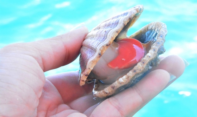 mybeautifulILOILO: Tikab-Tikab Festival: Committing to the Livelihood ...