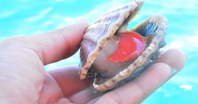 mybeautifulILOILO: Tikab-Tikab Festival: Committing to the Livelihood ...