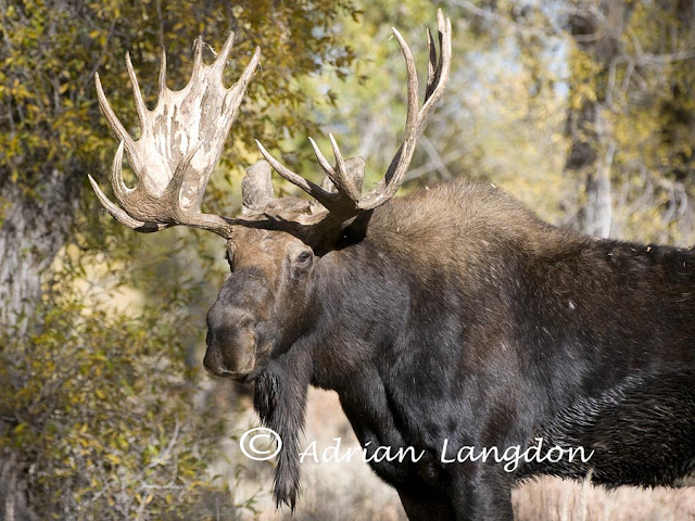 images-naturally!: October 2012