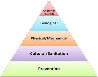 HONEY BEES: AN ADVENTURE: Controlling Varroa Mites
