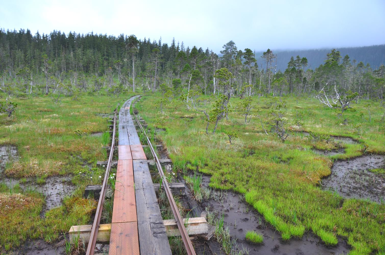 Safe Harbour: Day 25-Taku Harbor to Oliver Inlet
