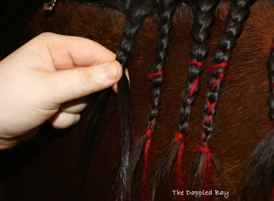 The Dappled Bay: Tutorial: Scalloped Button Braids