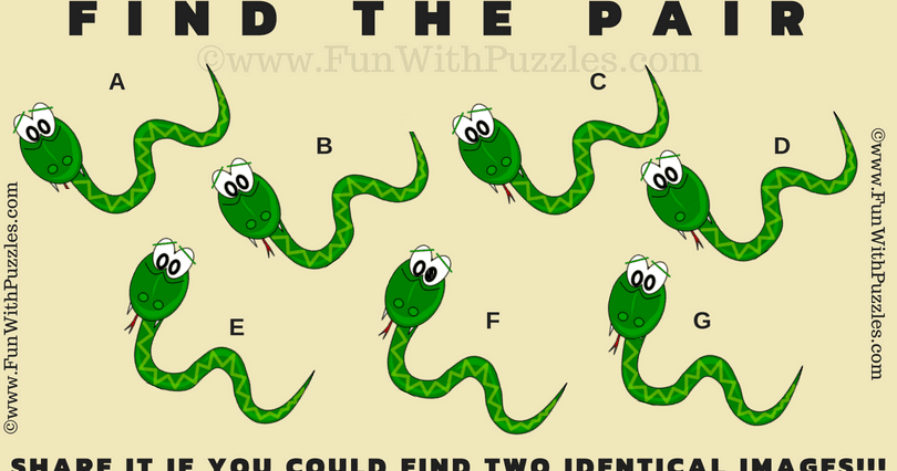 Engaging Match: Snake Pairs Puzzle and Answer