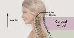 Mõttemõlgutused: Millest räägib meile selgroog?