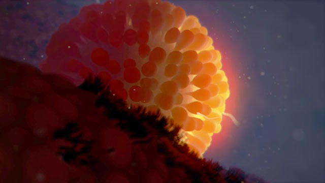 hidatoda: Rintangan Sperma Membuahi Ovum