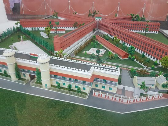 g o t t f r i e d . f l i e d l - m u s e o l o g i e n: Das Cellular ...