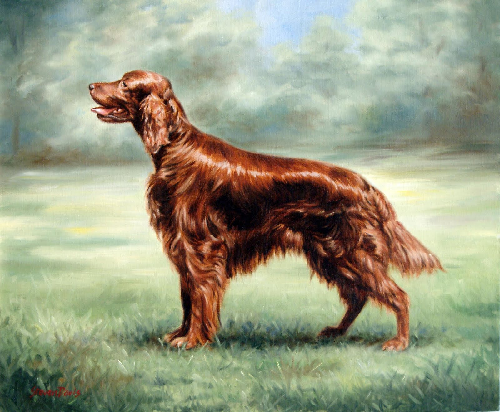 Lovecký pes: Plemena ohařů I.