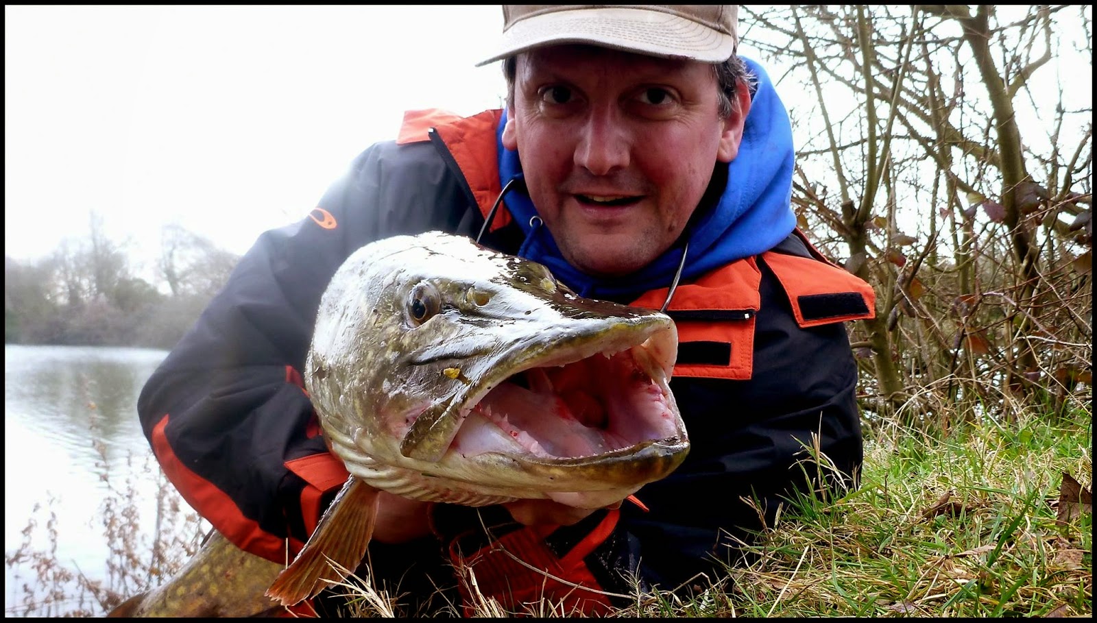 April 2015 Fish of the Month Entry - Fire Tiger Pike!