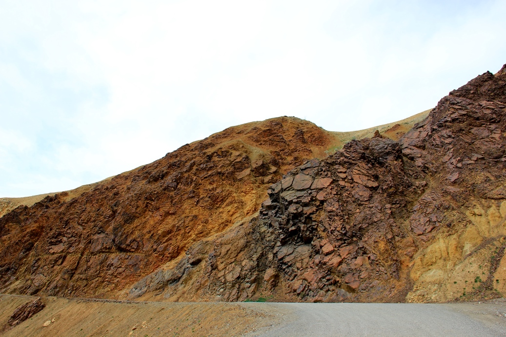 Joy of Discovery: Toklat, Denali National Park