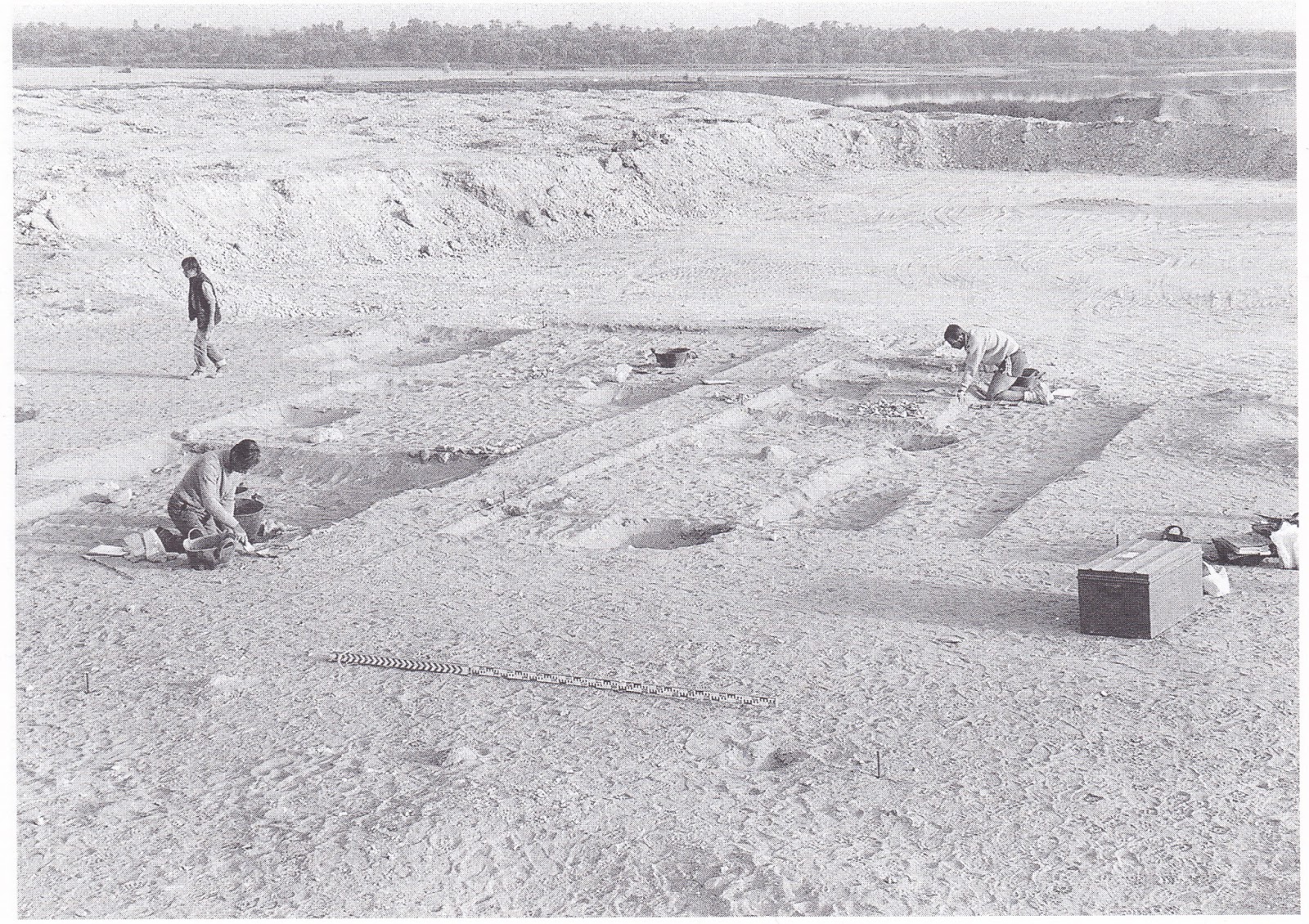 Las Culturas Predinásticas del Antiguo Egipto: El Badariense: El Badariense