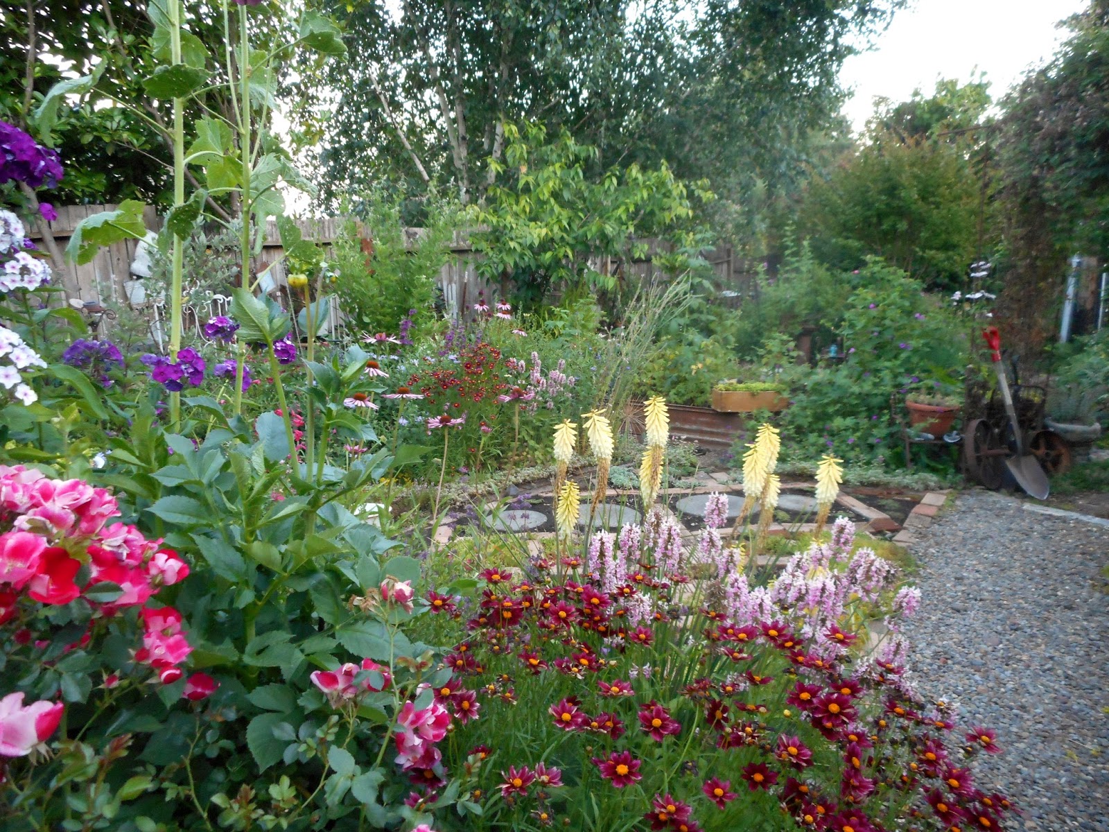 Gardening With Grace: Pleasant Surprises