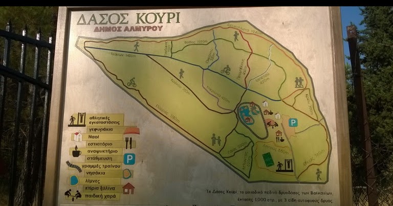 Δασος Κουρι Αλμυρος: Σχετικά με το Δάσος