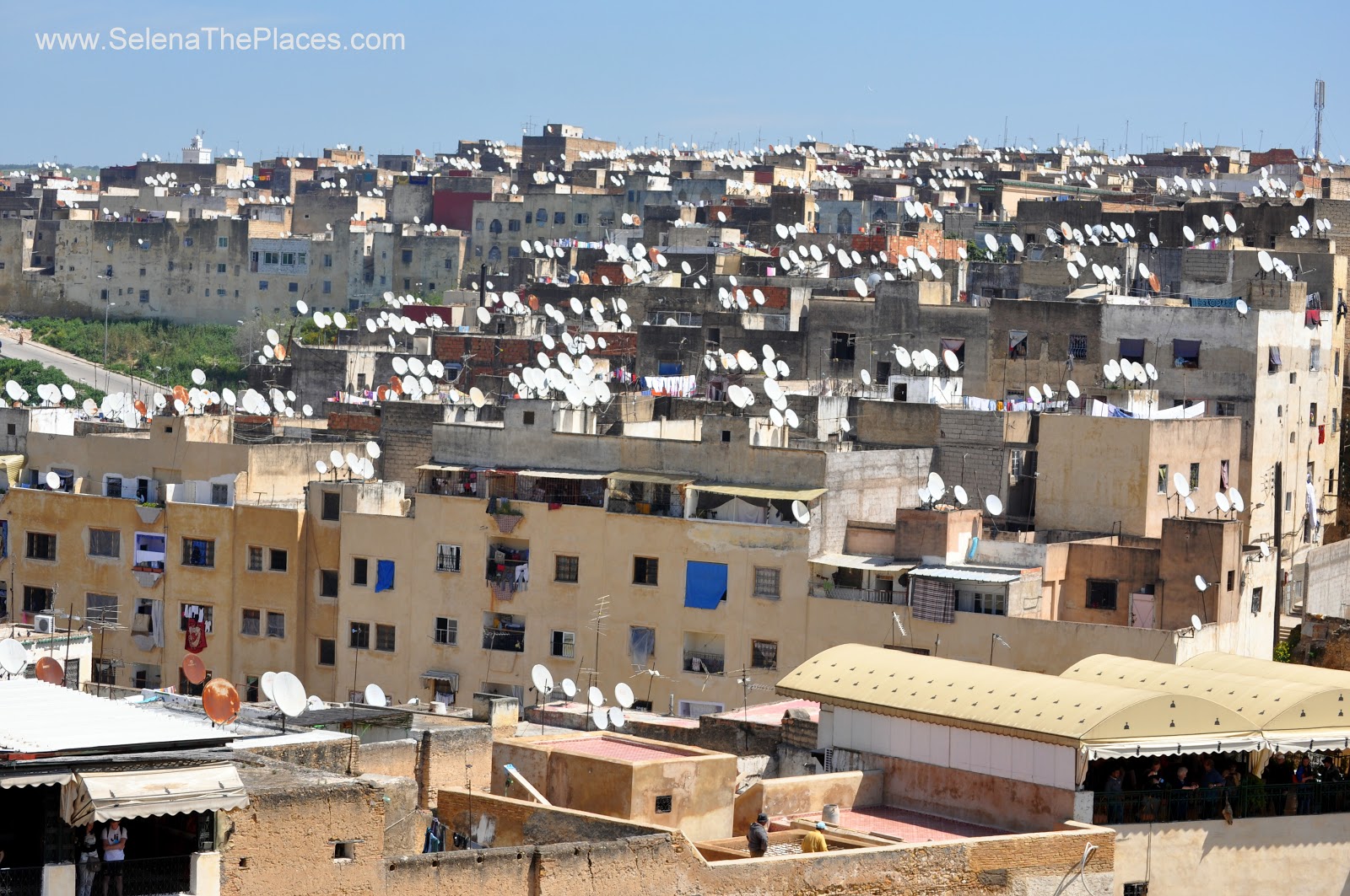 Oh, the places we will go!: Fès, Morocco