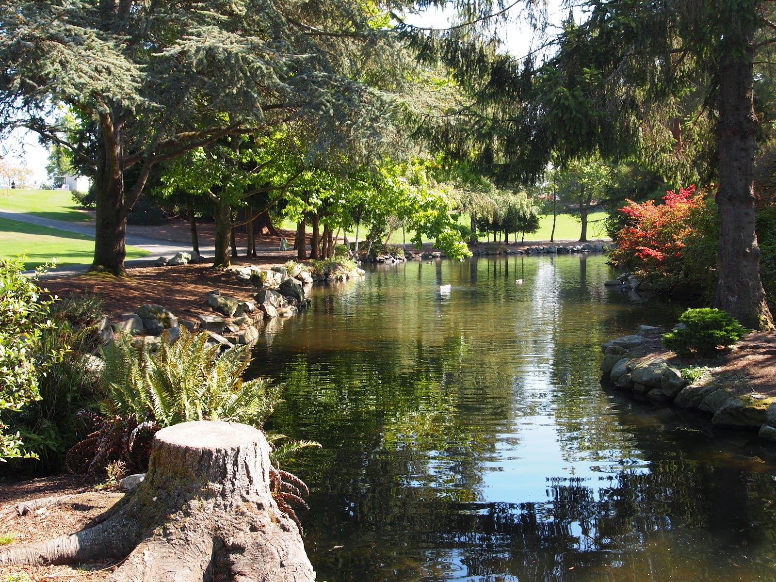 Journey Authentic: Point Defiance Park Visit