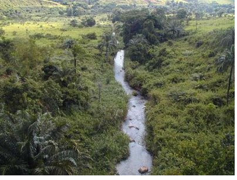 tropicalia: "baía e cidade do enclave de Cabinda"