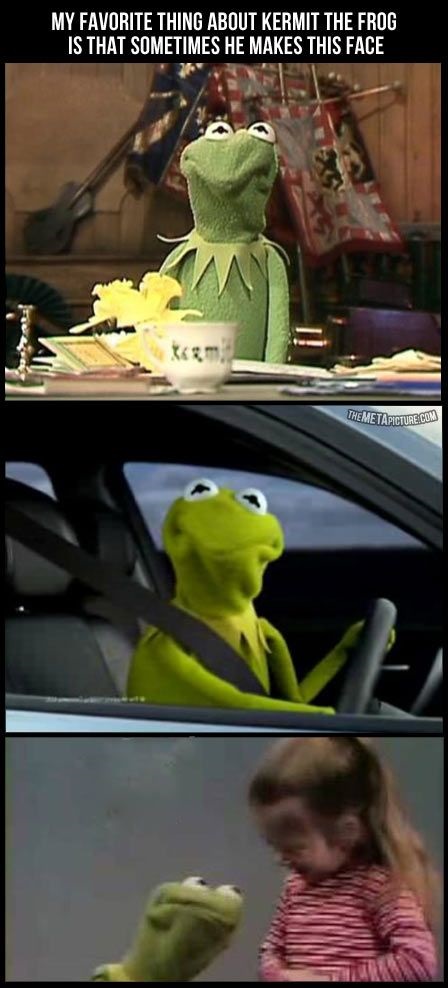 Kermit the frog face ~ Funny Shot