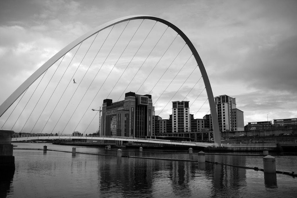 Architecture : Catenary Structures & Ruled Surface (Research)