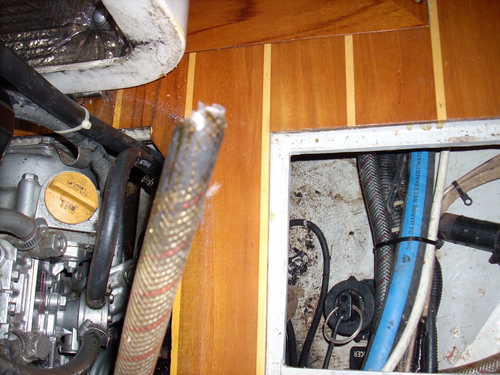 Alizée: Damn/spit! A rat on board ...