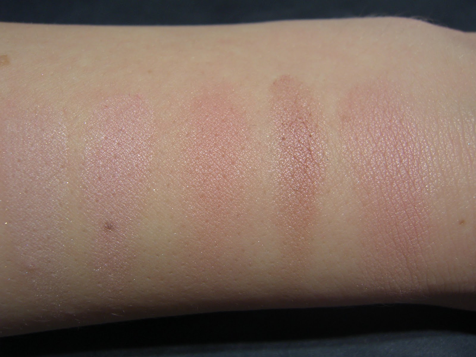 Laskas Beauty und Make-up Blog: Catrice - Multi Color Blush