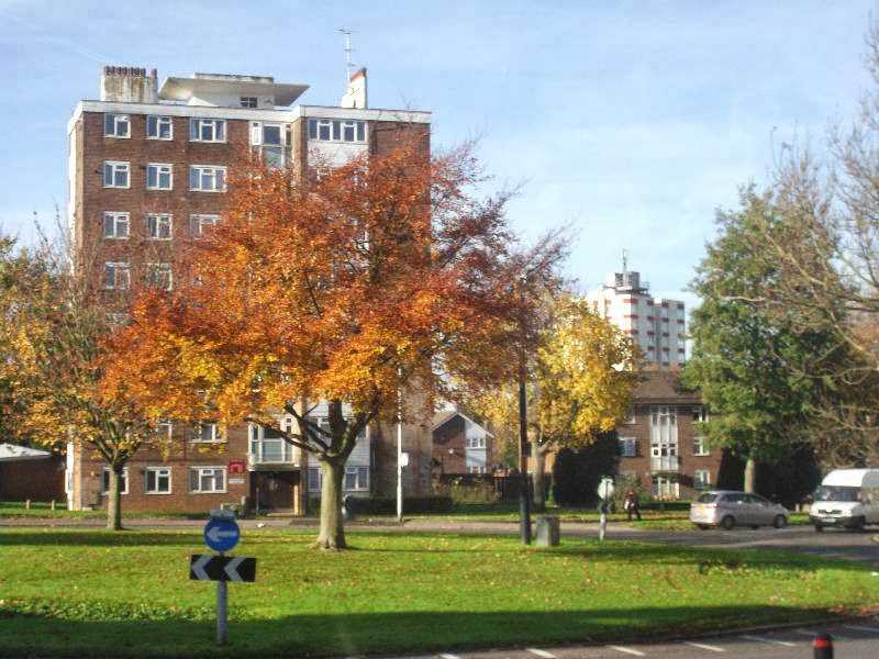 London buses one bus at a time: the return: The T32 Route