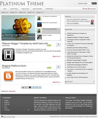 Platinum Theme | Code Blog
