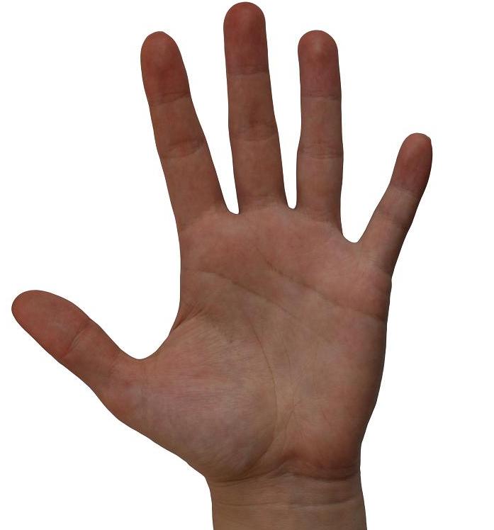 JAVIER MUÑOZ: MANITA