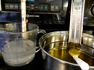 Larson Farm Naturals: Soap Making 101 - Part 2