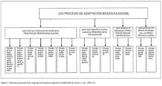 ExEn: Principio de Especificidad