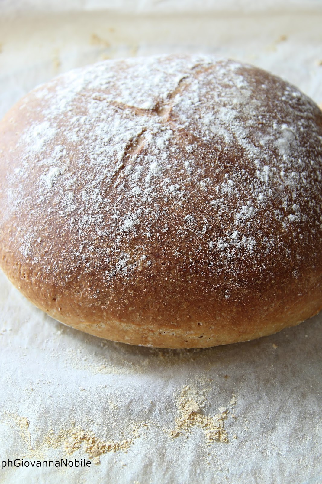 Pane integrale # 5 preparato con lievito madre essiccato - la cuoca ...