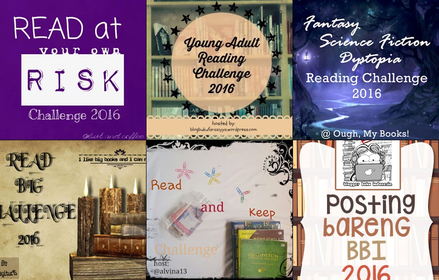 Wrap-up Post: Reading Challenge 2016