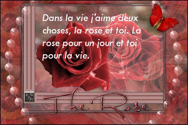[65+] Citation Philosophique Sur Le Bonheur Et L Amour Gratuit | CitesSites